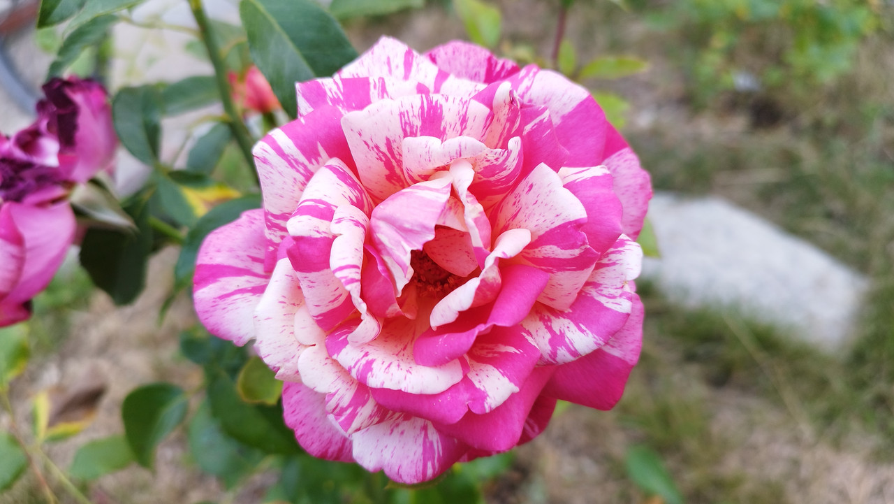 IMG 20230722 184542 — Postimages