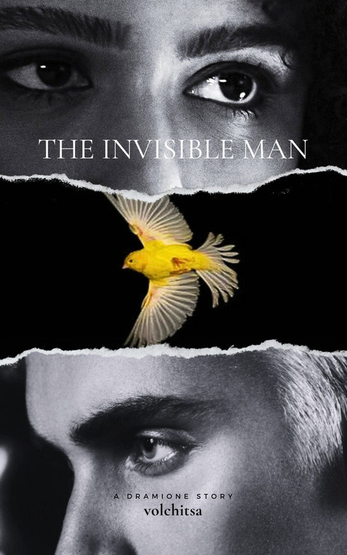 The Invisible Man - Chapter 1 - volchitsa - Harry Potter - J. K ...