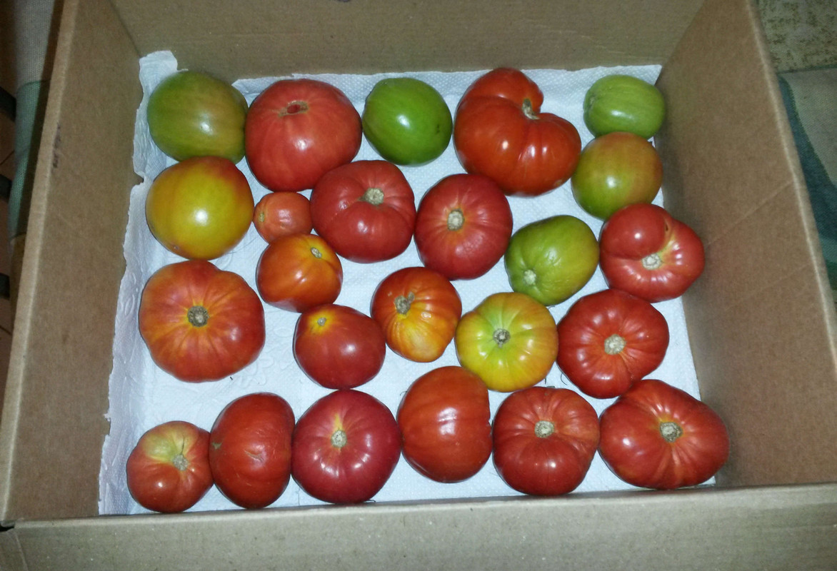 H 20220109 — Postimages