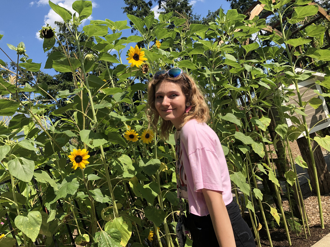 F11 D65 F6 4495 43 A8 A464 96 F5 BFC1 DAF8 — Postimages