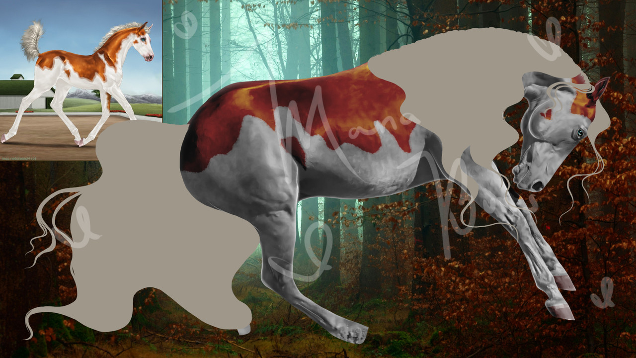 Choc Rose WIP — Postimages