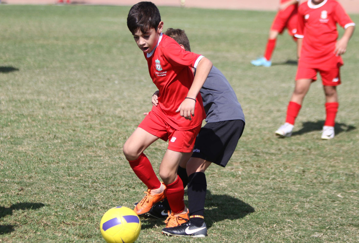 VIK 7895 — Postimages