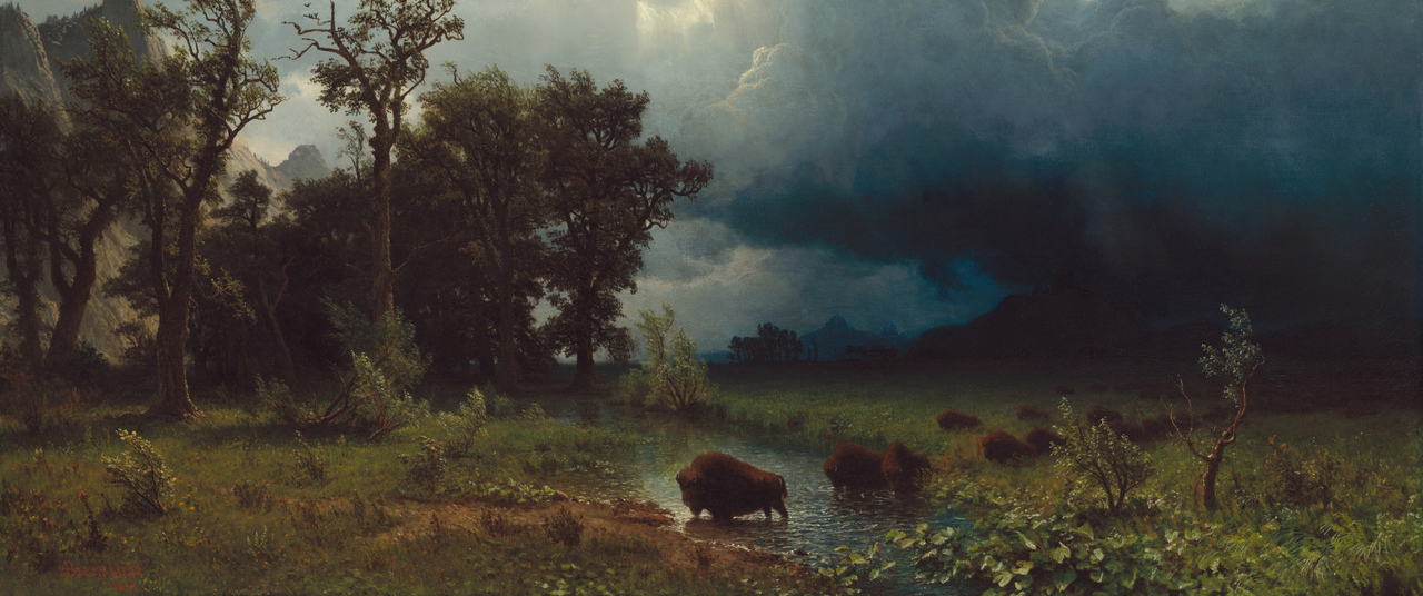 Buffalo Trail, The Impending Storm Albert Bierstadt — Postimages