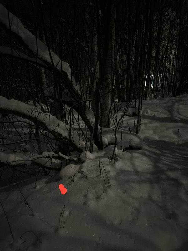 photo 2023 11 28 22 25 46 — Postimages