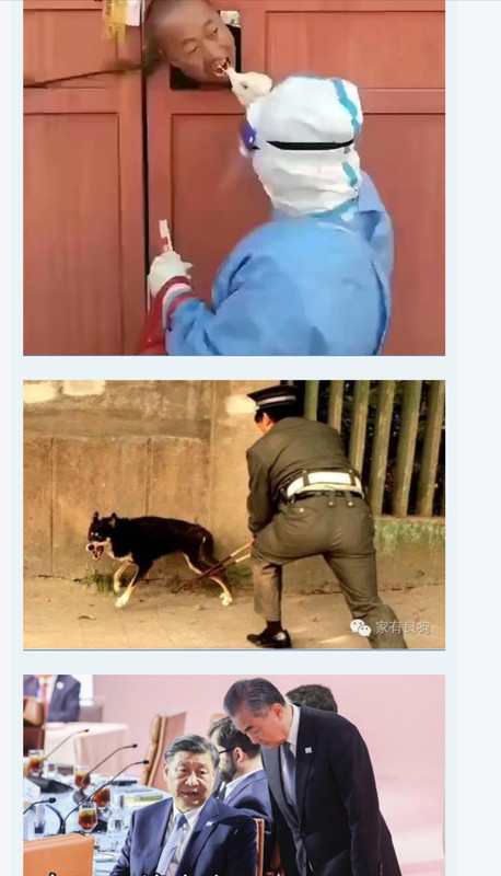 IMG 1902 — Postimages