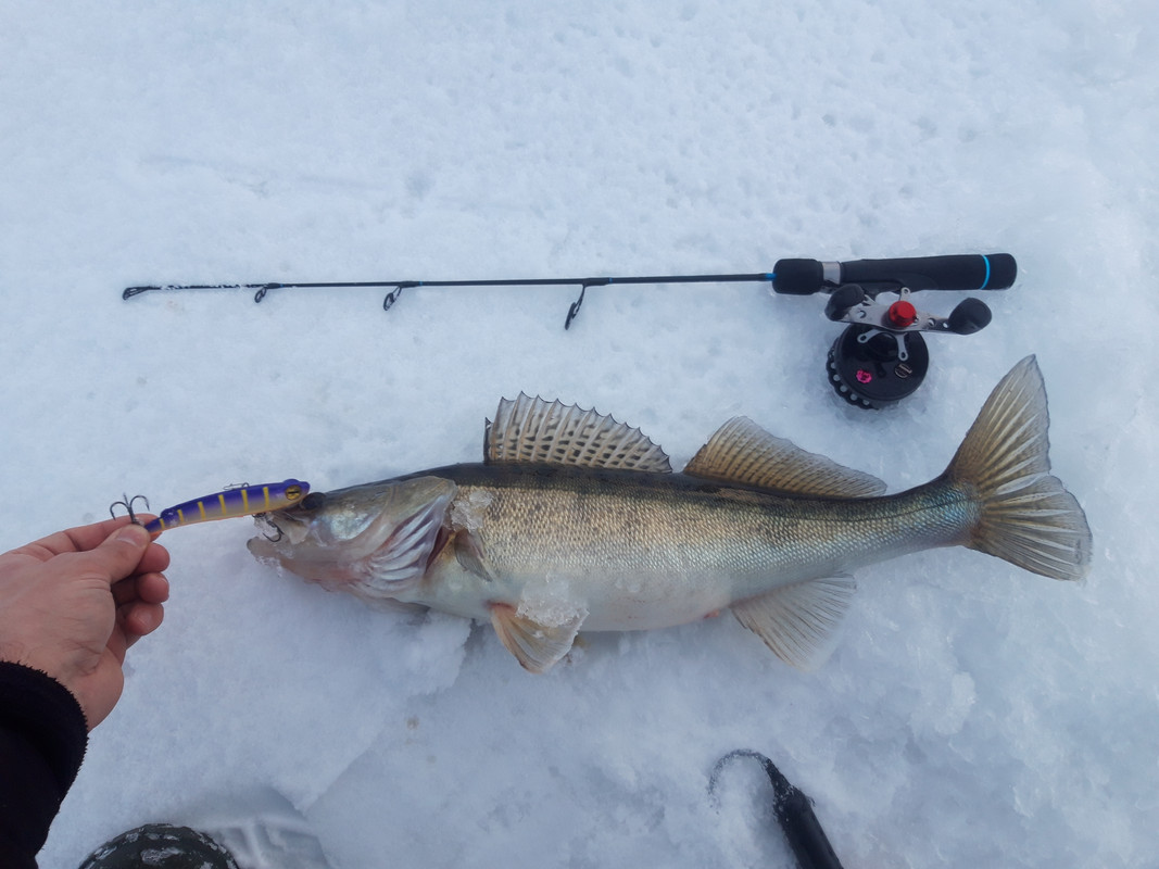 20230304 074630 — Postimages