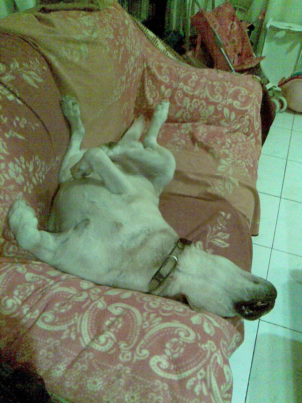 Image005 — Postimages