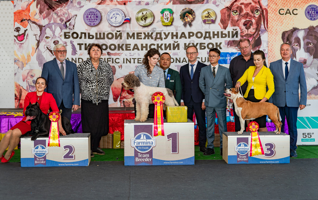 01 323 — Postimages