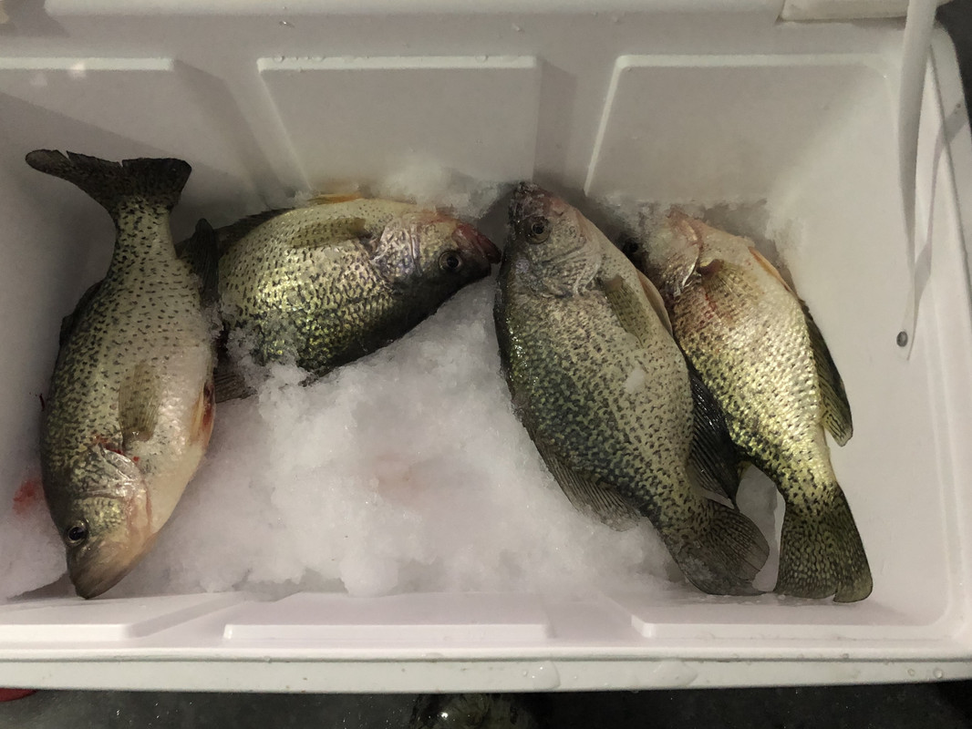 4 slabs — Postimages