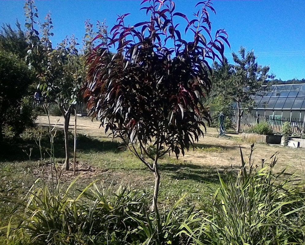 WIN 20170619 17 18 12 Pro — Postimages