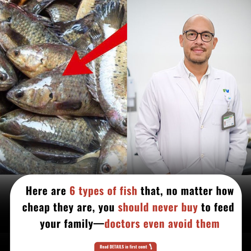 Beware: These 6 Inexpensive Fish Could Be Contaminated with H@rmful Toxins