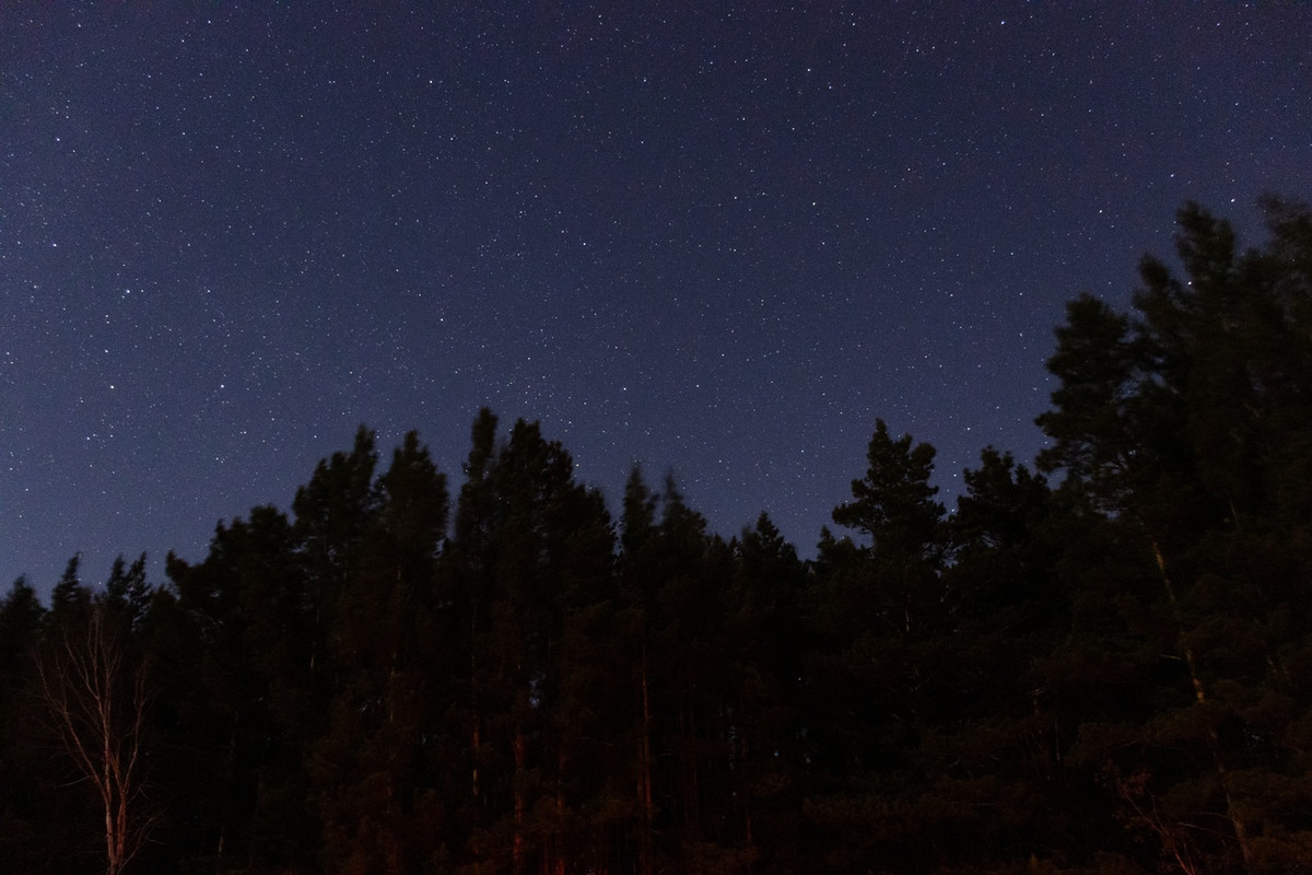 1 GOt A05 CJ 8 — Postimages