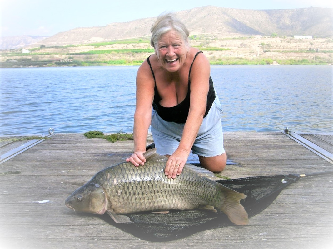 sandrafish — Postimages