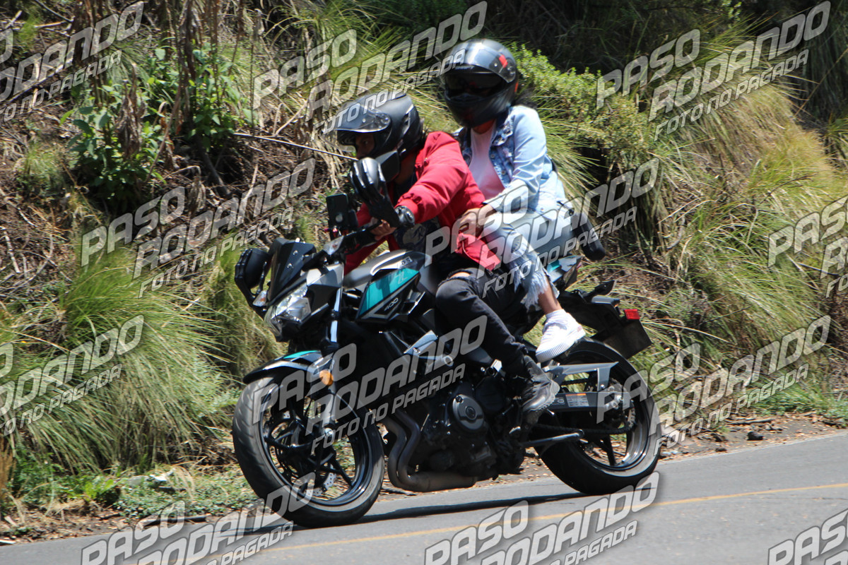 Img 8140 Wm 4763920 5 Watermarked — Postimages