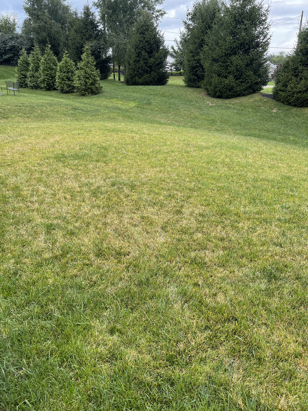 652 C68 FB FE68 4771 8013 4 F1 E8 CA997 BA — Postimages