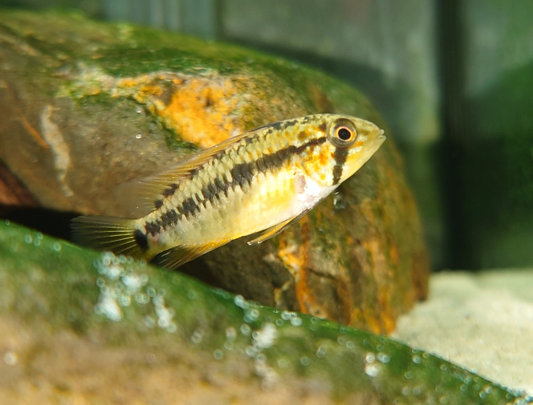 DSC 1533 2 — Postimages