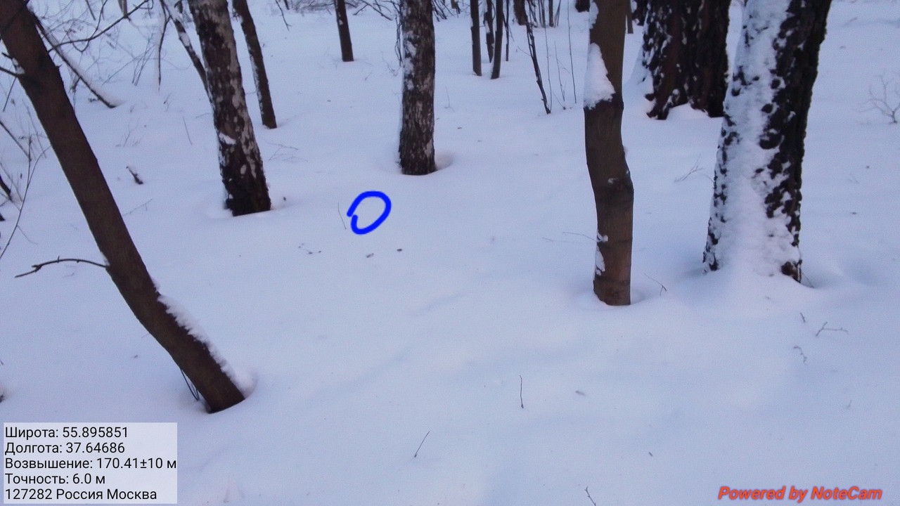 Polish 20240112 161422403 — Postimages