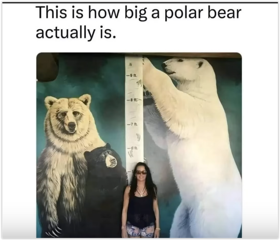 Screen Shot 12 07 23 at 10 45 PM — Postimages