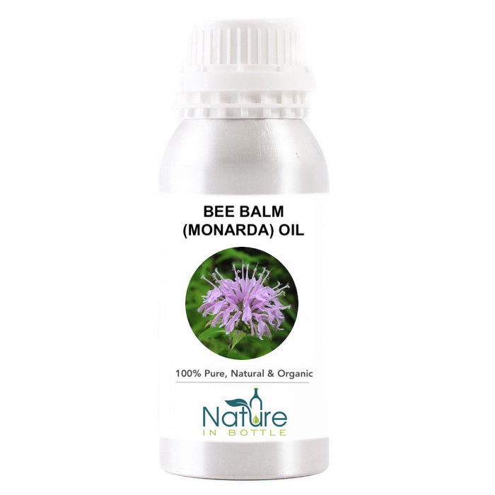 Bee Balm Essential Oil Organic - Monarda Fistulosa