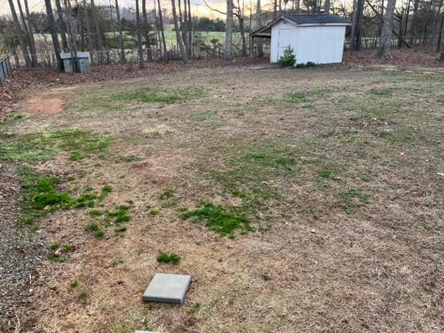 Reclaiming my neglected lawn, best steps this Spring? | Lawn Care Forum