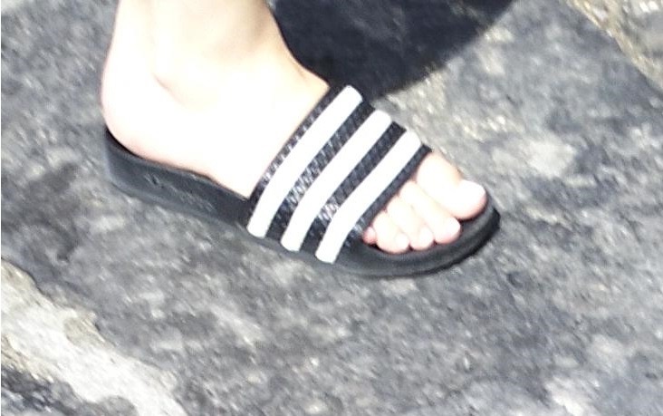 ago2023 (251) — Postimages