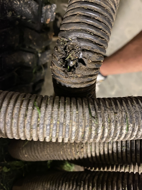 E7 D426 E3 CA41 4 E46 80 DB 35 A9170 AD0 B6 — Postimages