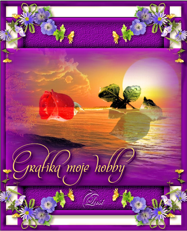 PSP 289 — Postimages