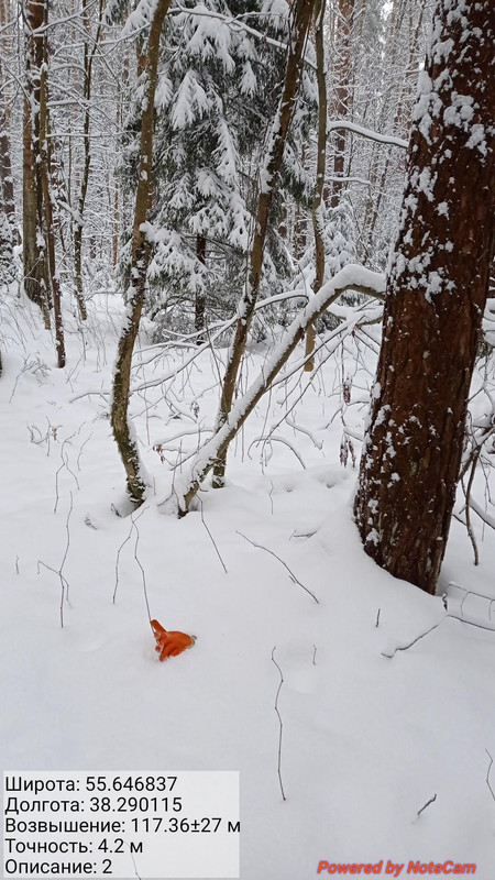 20221214 132806 cleaned — Postimages