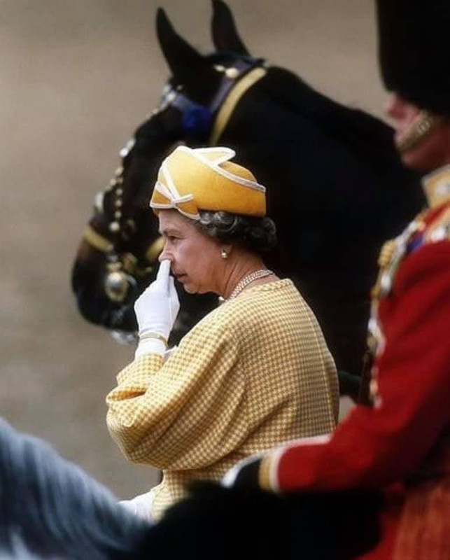 The Queen Picking Her Nose: Seven Pictures Of Queen Elizabeth Digging ...