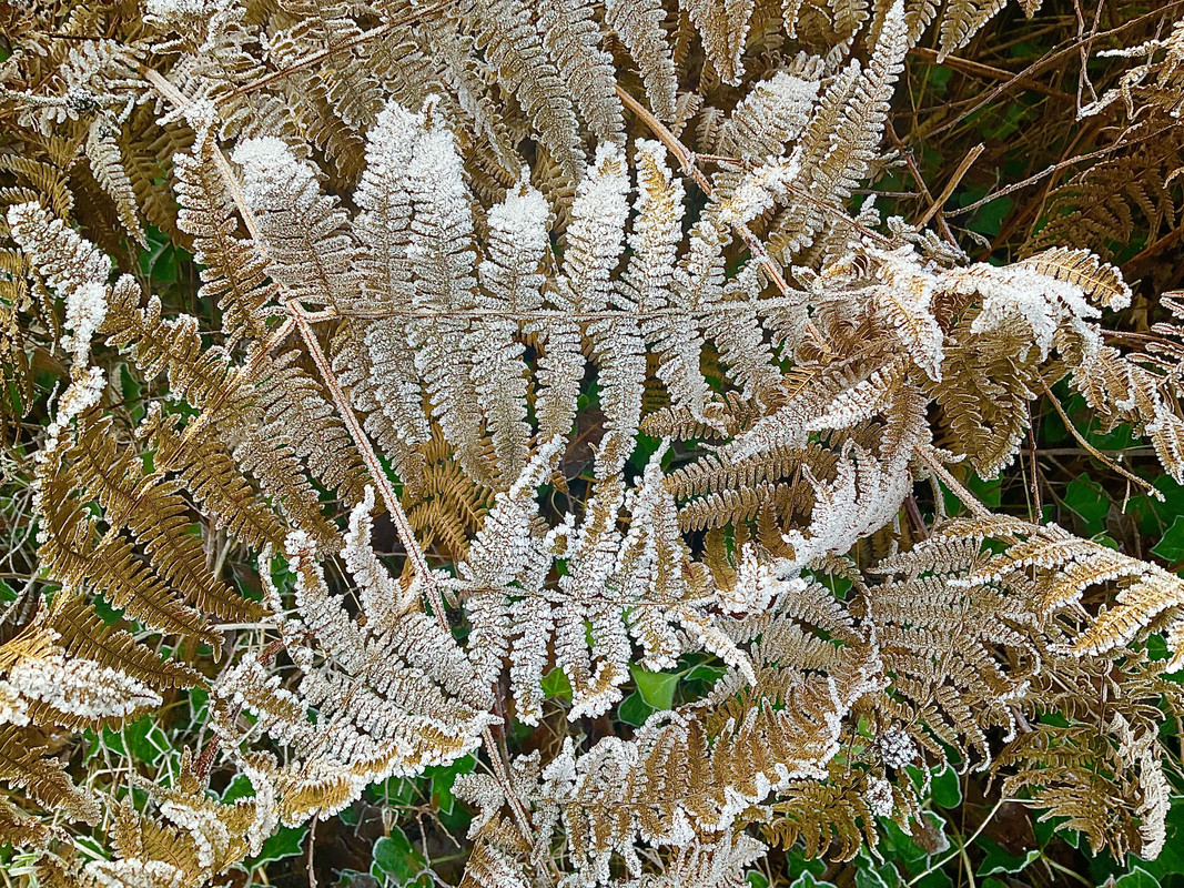 8 A1 BB956 9 DF1 4862 B1 D0 DC4 DCCBF957 A — Postimages