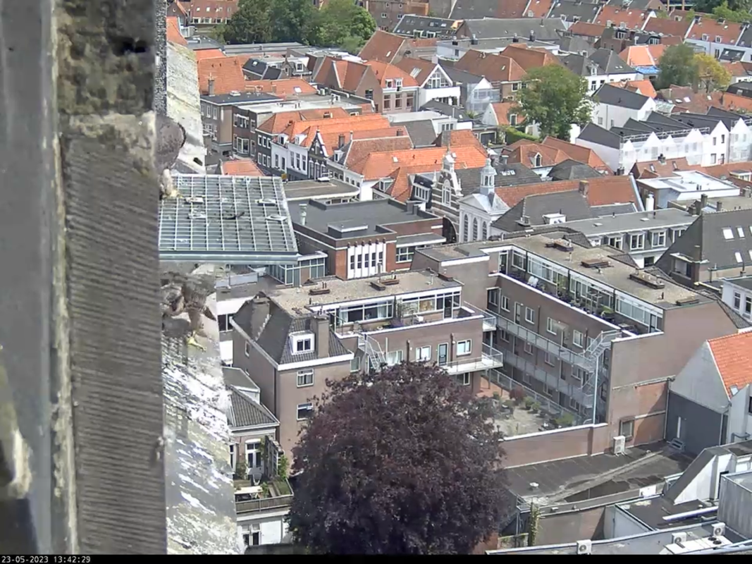 IMG 9085 — Postimages