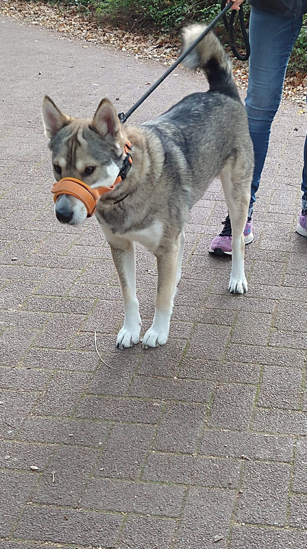 297 EB89 B 3 DC4 433 A B6 CC F785184 BC0 FD — Postimages