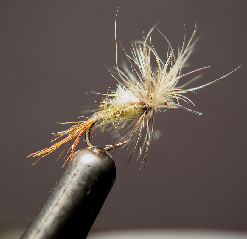 Fly flies and pins — Postimages