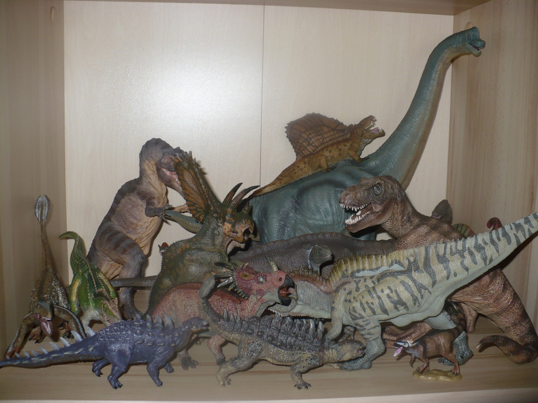 Conan Animals and Dinosaurs Collection