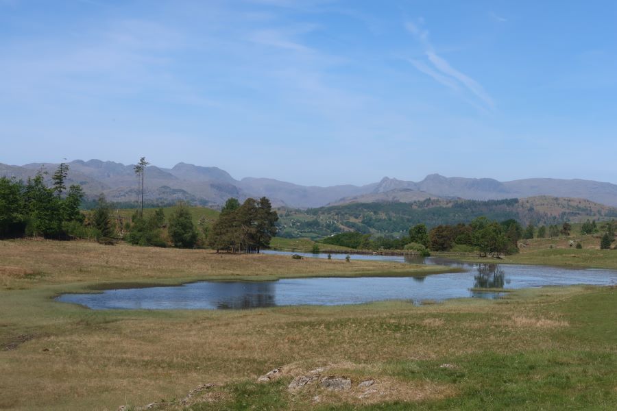 UK Charity (Thrift) Shop CD Hunting | Page 1198 | Steve Hoffman Music ...