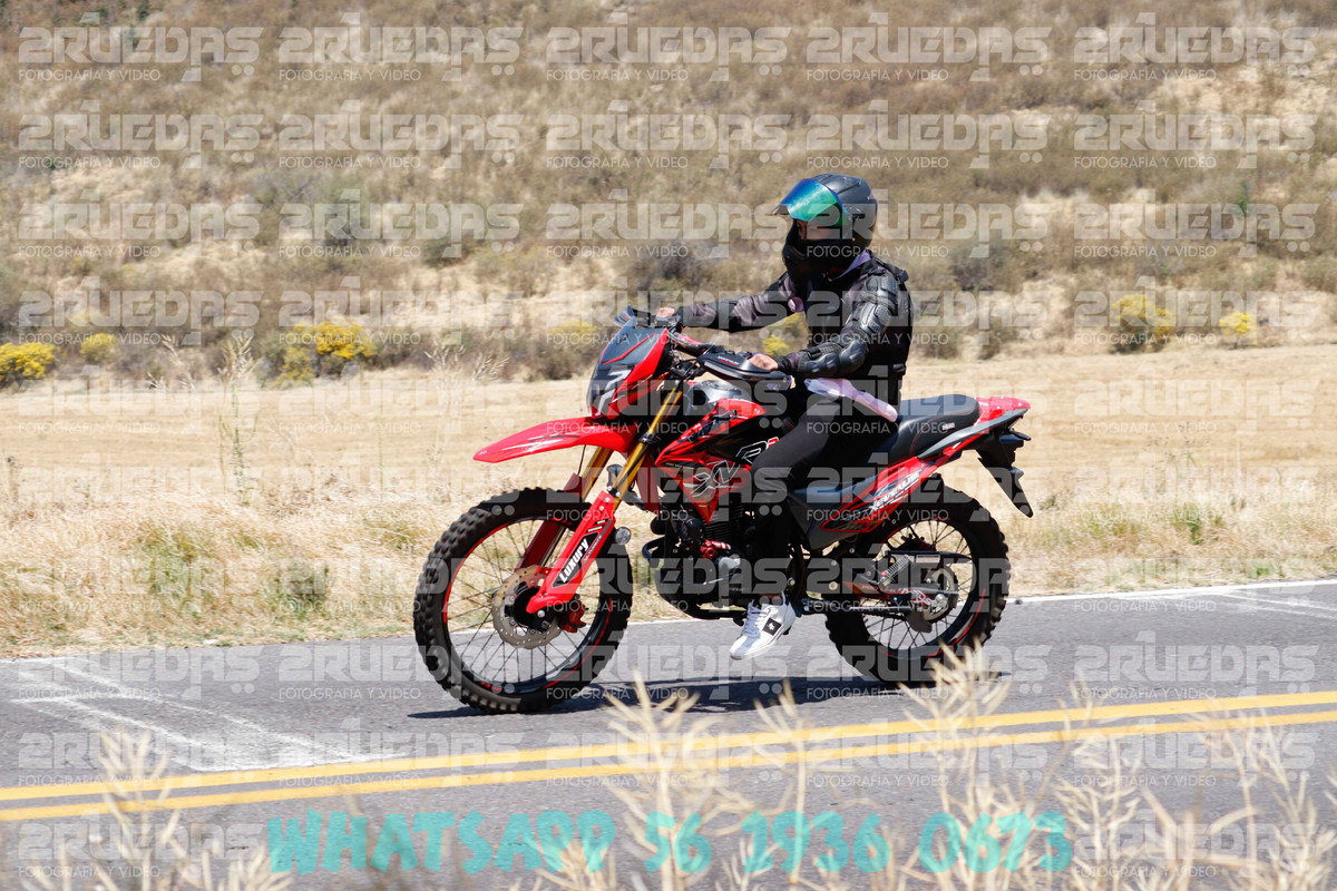 MG 0549 — Postimages