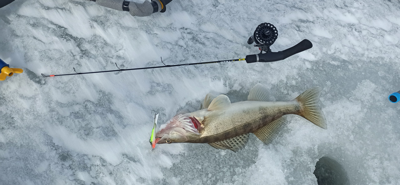 IMG 20220328 135843 — Postimages