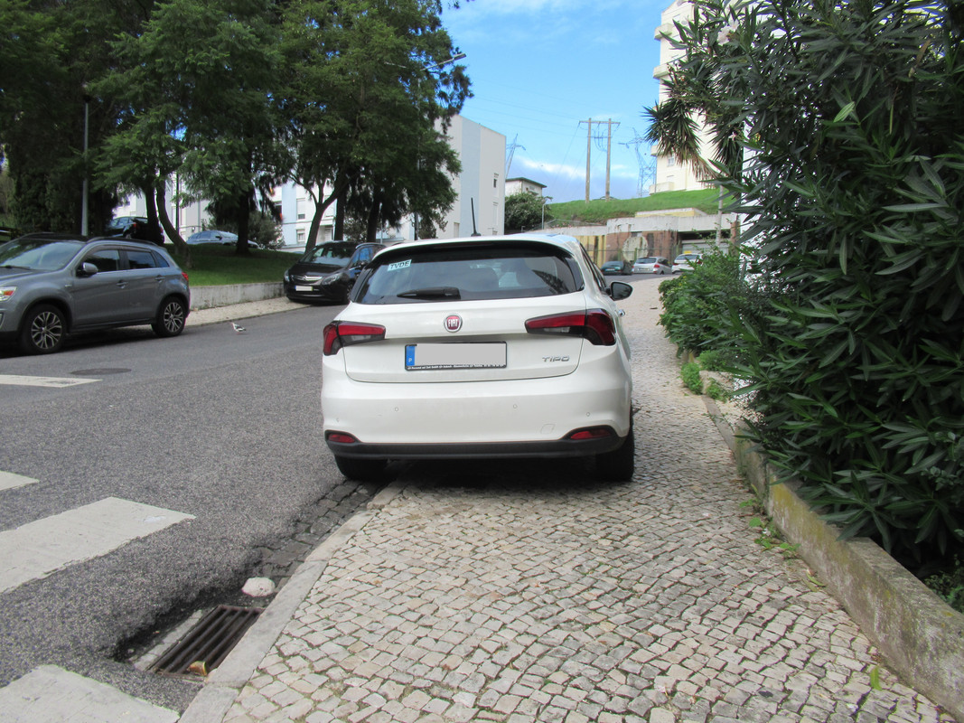 IMG 4161 — Postimages