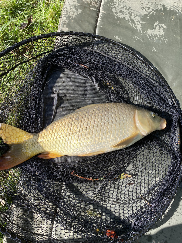 IMG 0968 — Postimages