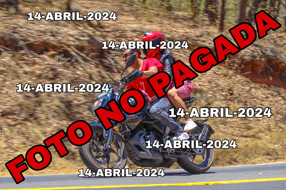 CA 1004 — Postimages