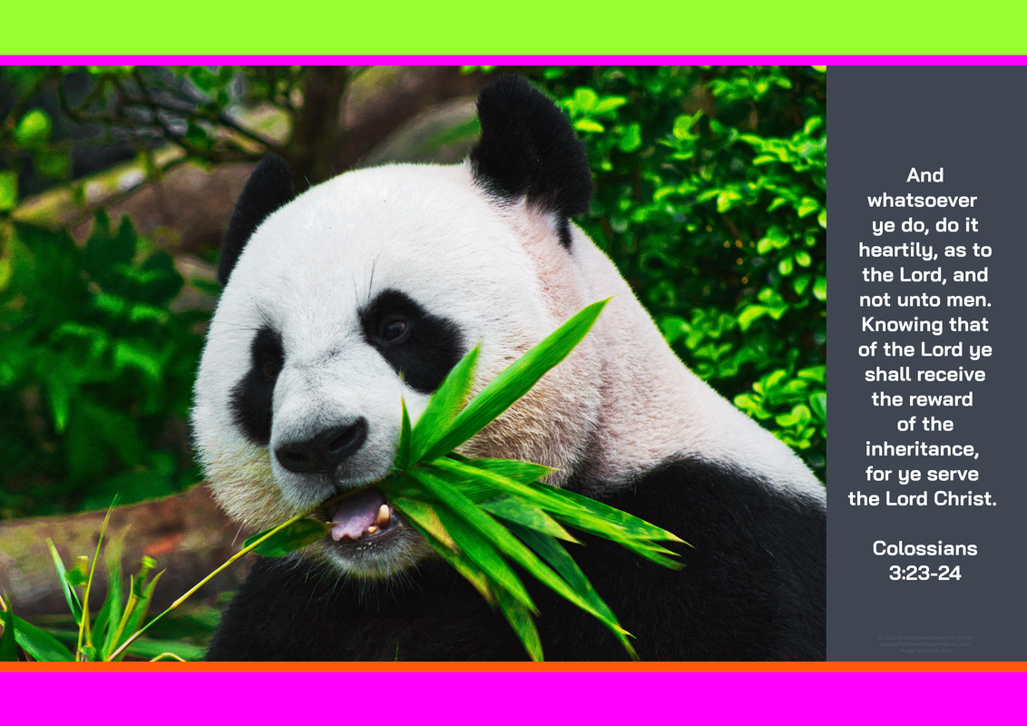 PGFE Panda Poster9 A4 — Postimages