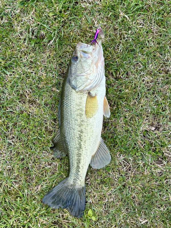 IMG 6457 — Postimages