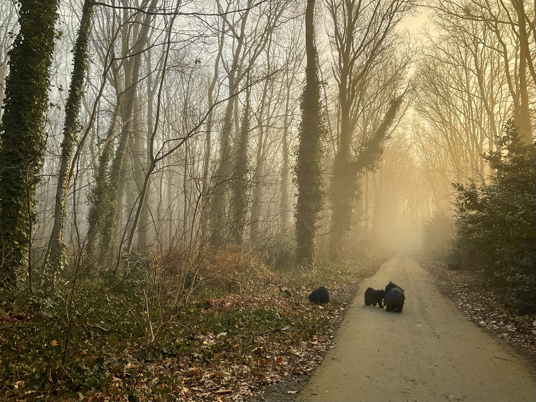 3 A6 CE82 B 02 CB 497 D 876 C 012 DFB284537 — Postimages