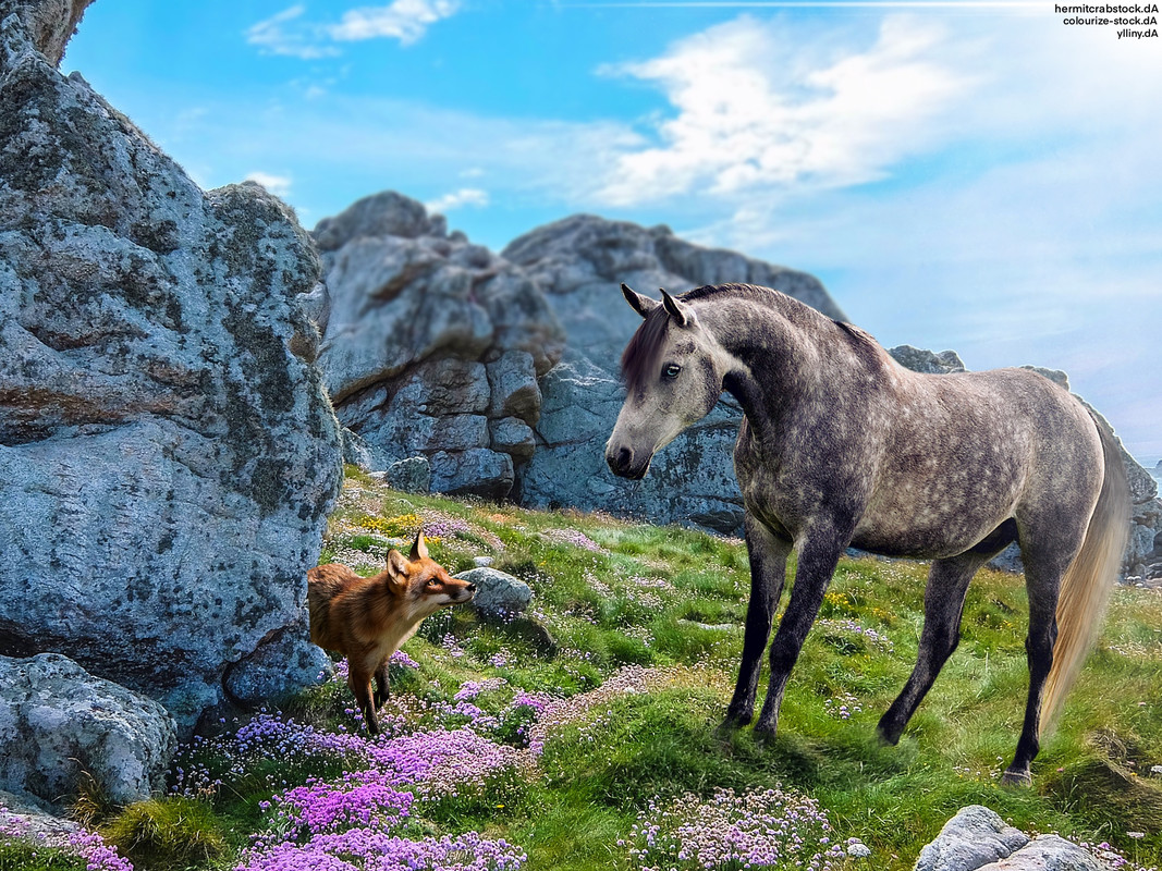 Untitled Artwork 5 — Postimages