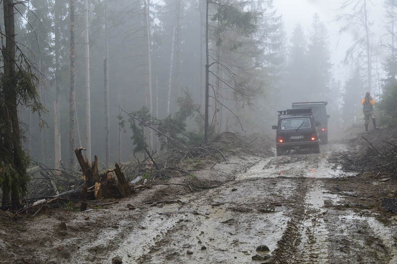 DSC 0816 — Postimages