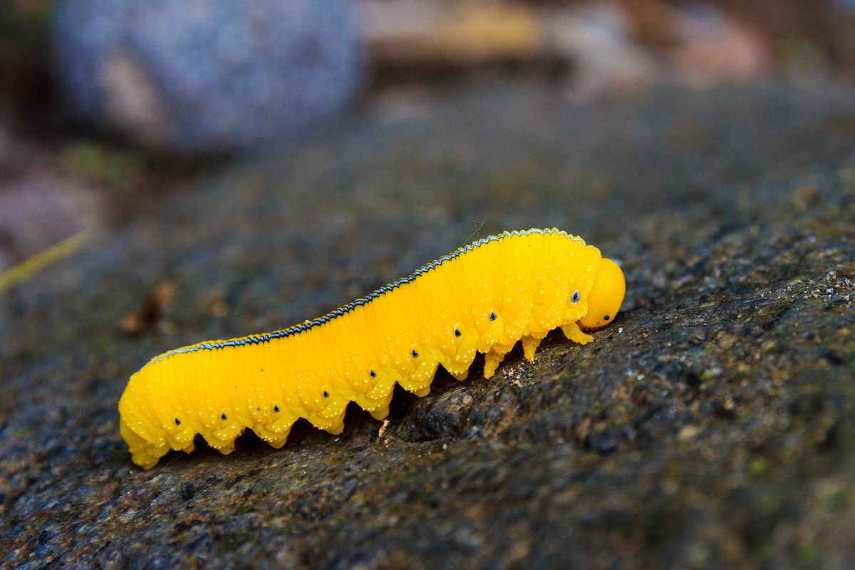 IMG 8814 — Postimages