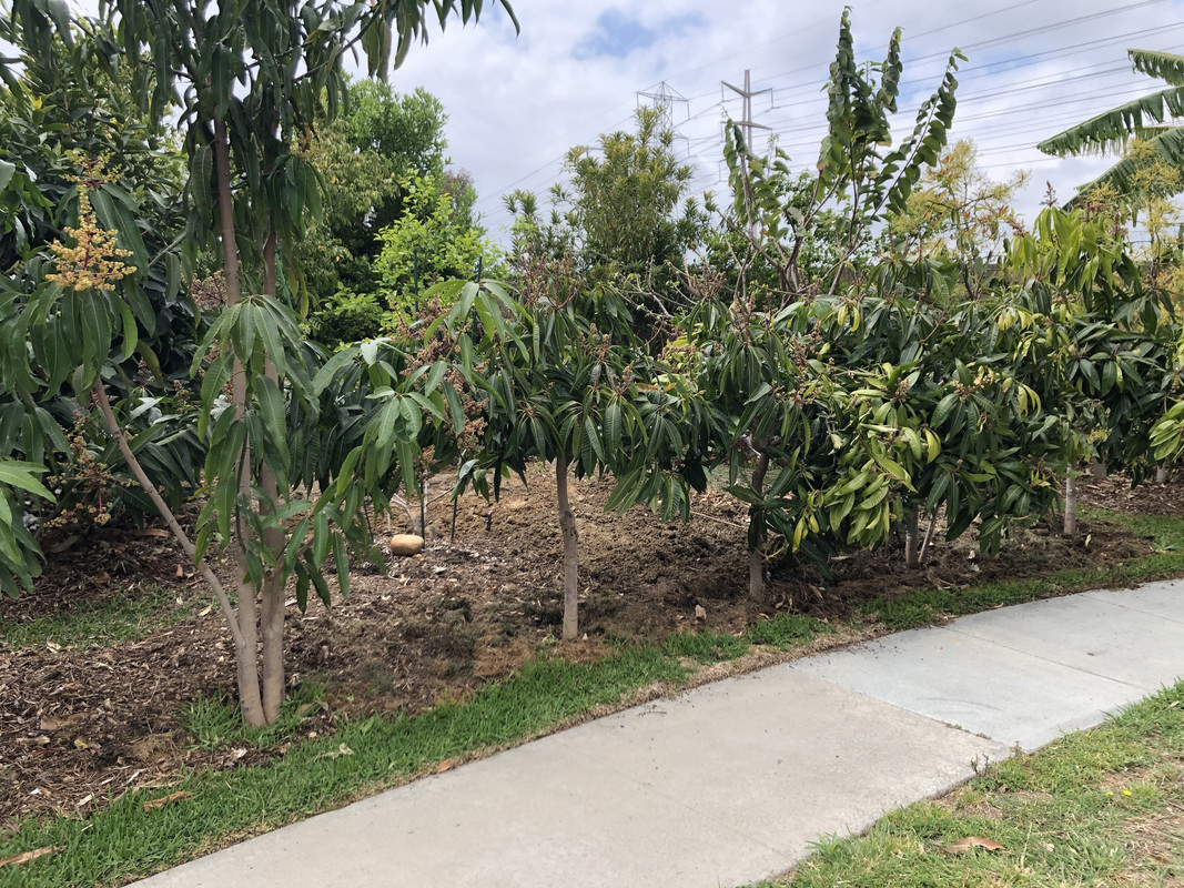 IMG 7811 min — Postimages