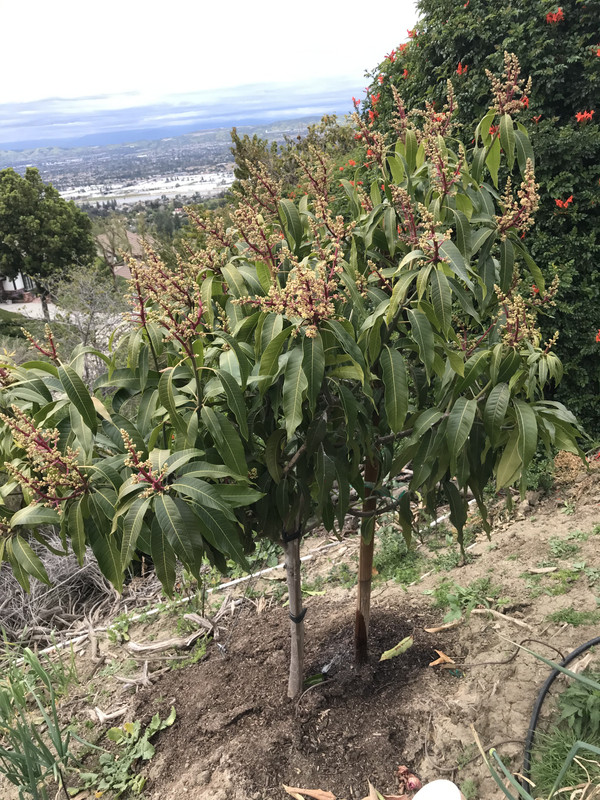 DCB8 F314 DD82 46 AE BD39 A000 F5 EE6170 — Postimages