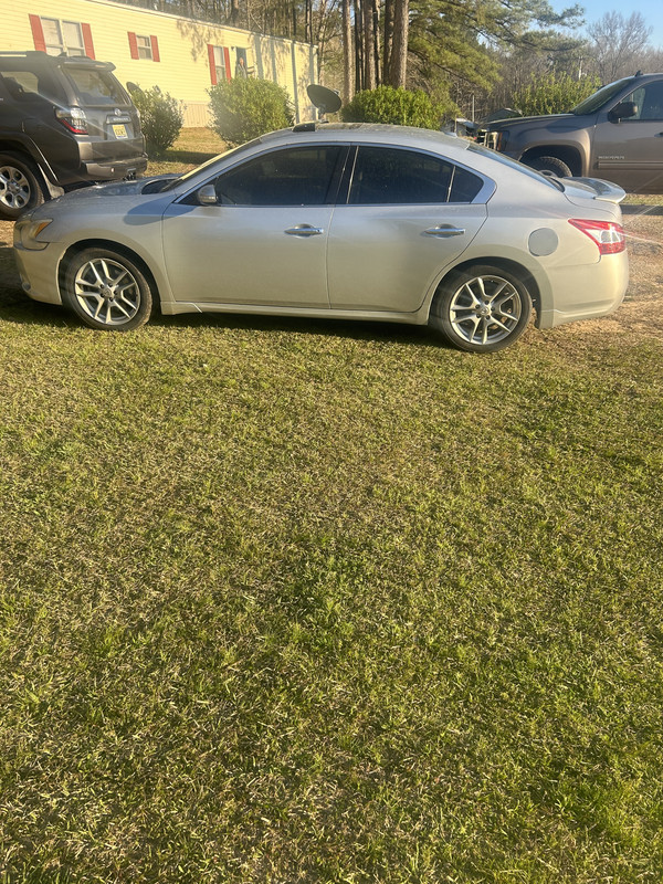 IMG 8119 — Postimages