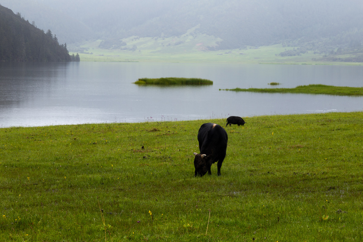 IMG 2844 Shangri La Pudacuo national Park Shudu Lake — Postimages